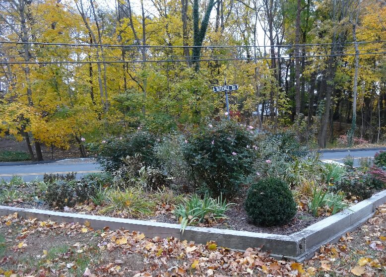 Mountain Lakes Garden Club Community Garden Projects