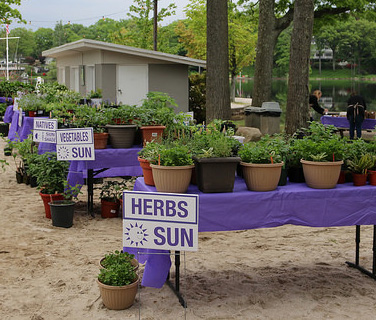 Borough of Mountain Lakes » Garden Club plant sale